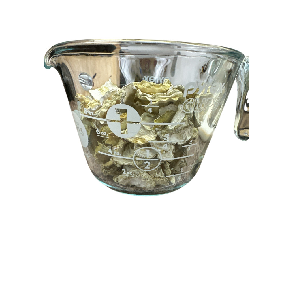 Freeze Dried Pickle Chips 14g – Made in Canada Tangy/Salty Snack with ...